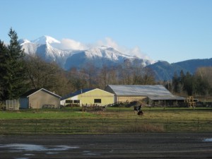 Olympic Rain Shadow Blog | The Latest on the Olympic Rain Shadow